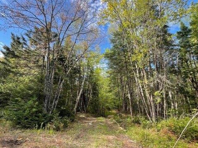 land Jackman ME DS103069410