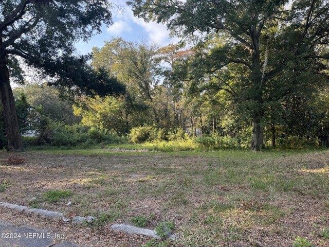 land Jacksonville FL DS89111956
