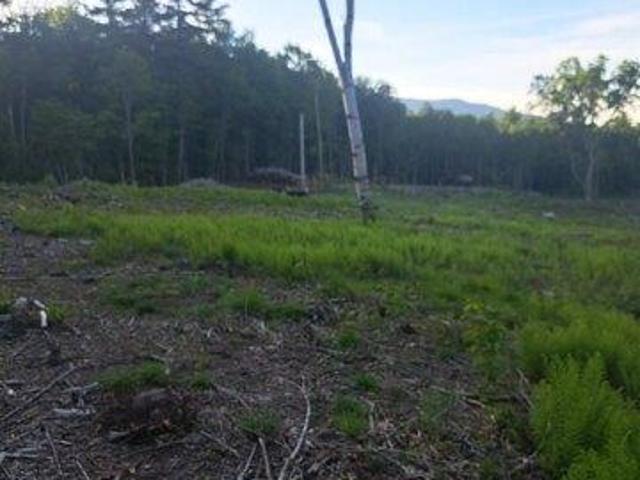 land Jaffrey NH DS103098049