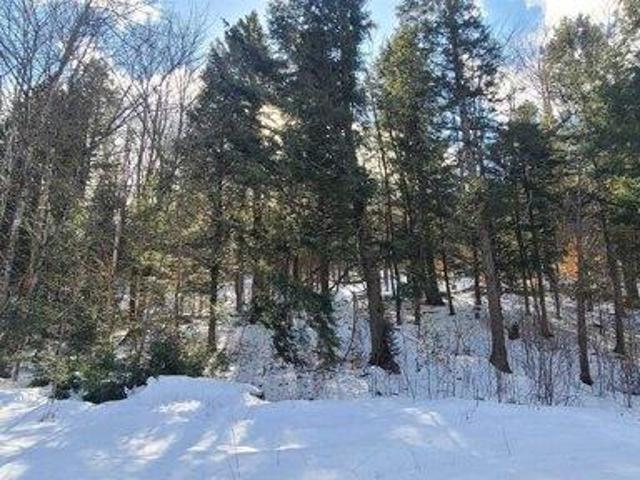 land Jamaica VT DS101856909