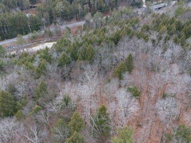 land Jamaica VT DS102447706