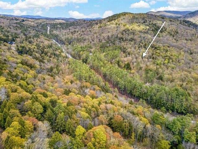 land Jamaica VT DS102476741