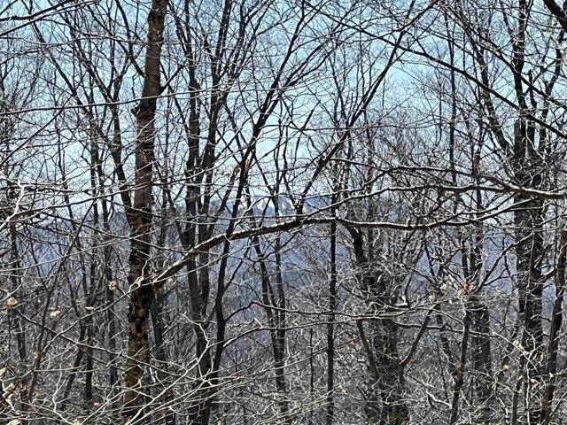 land Jamaica VT DS102278983