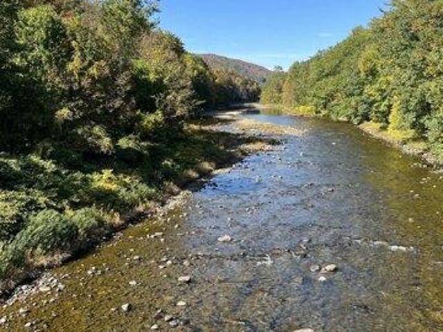 land Jamaica VT DS103886687
