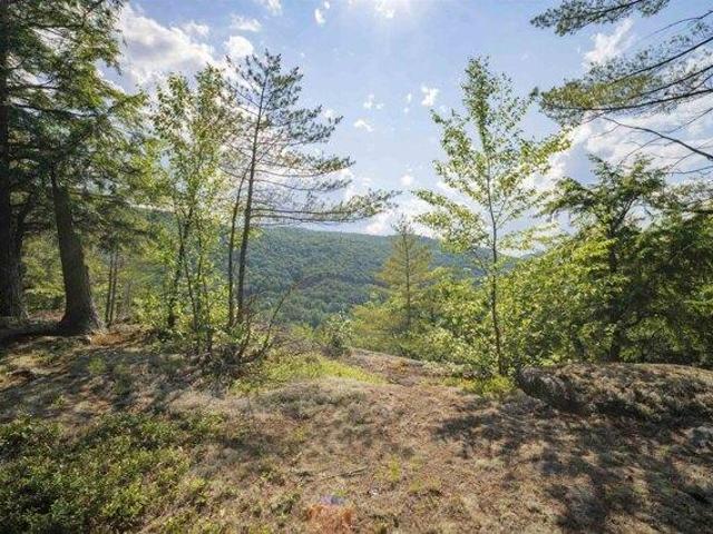 land Jamaica VT DS104351331