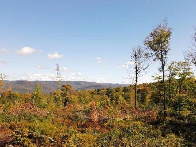 land Jamaica VT ES103437659