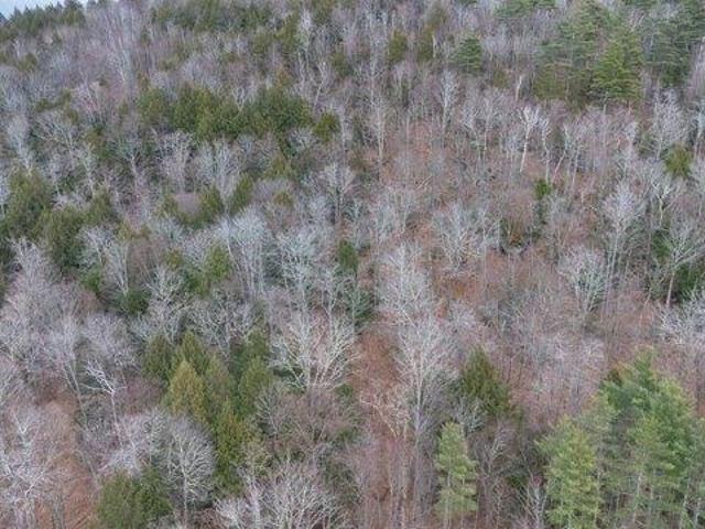 land Jamaica VT ES104850337