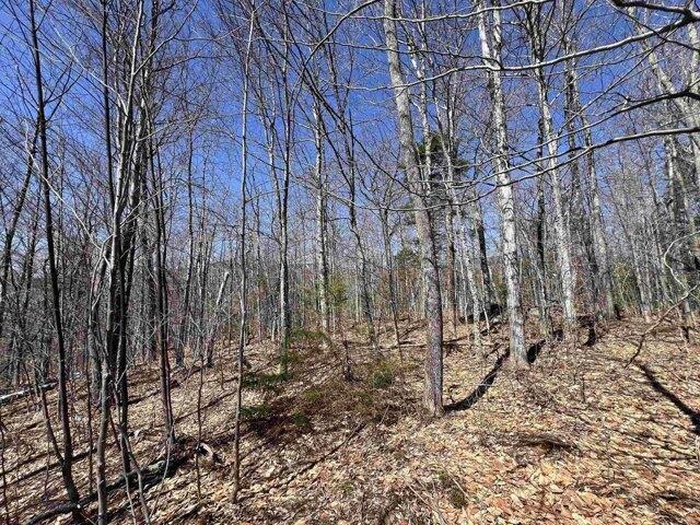land Jamaica VT ES105113315
