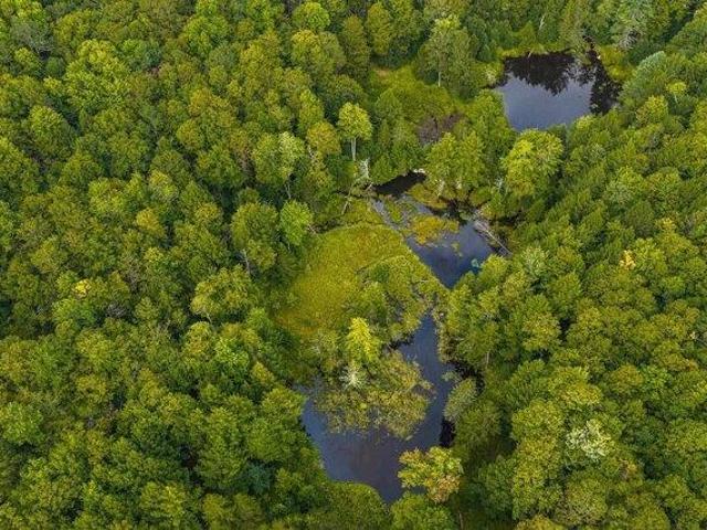 land Jamaica VT ES105293063