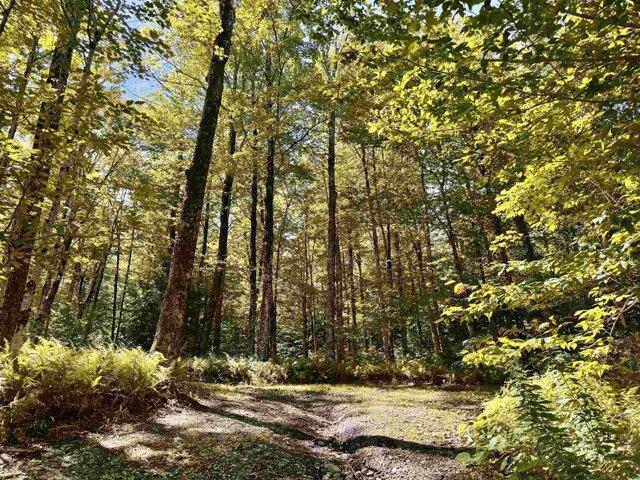 land Jay VT DLS102027164