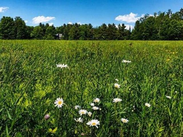 land Jay VT DS103437034