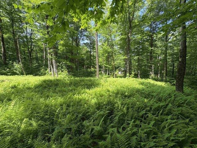land Jay VT DS104332674