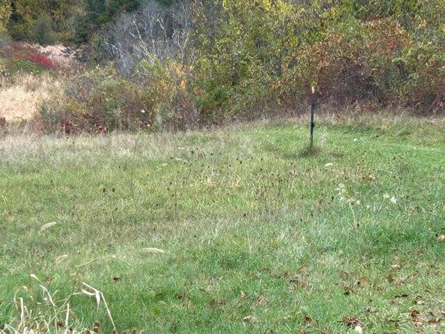 land Kensington NH DLS102531339