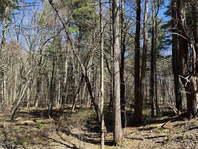 land Kensington NH DS102158921