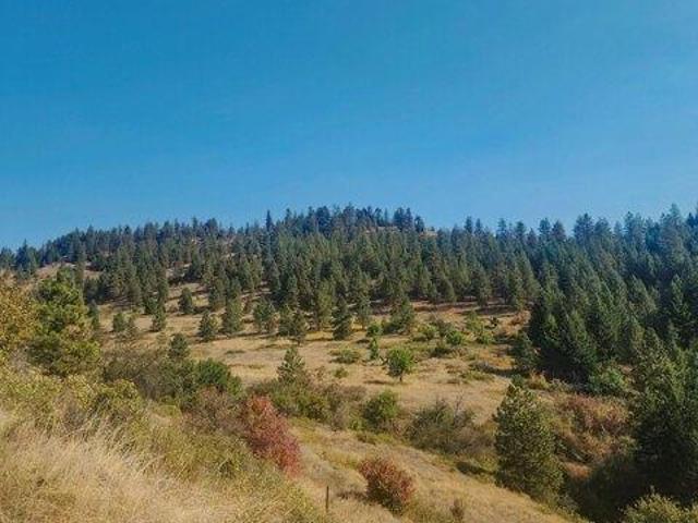 land Kettle Falls WA DLS97000338