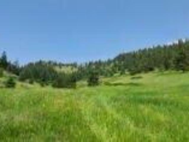 land Kettle Falls WA ES103500567