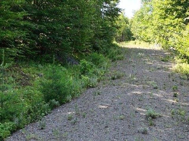 land Kingfield ME DS104189238