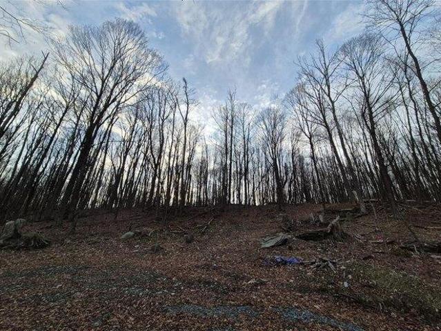 land Kirkwood NY ES104909103