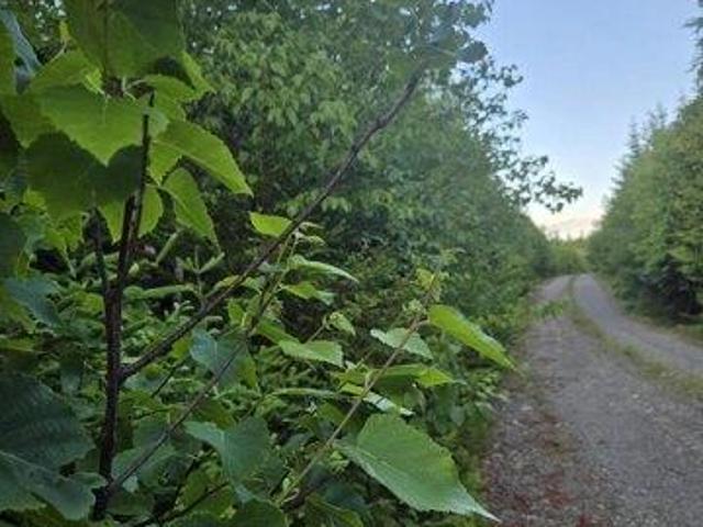 land Lubec ME DS104443054