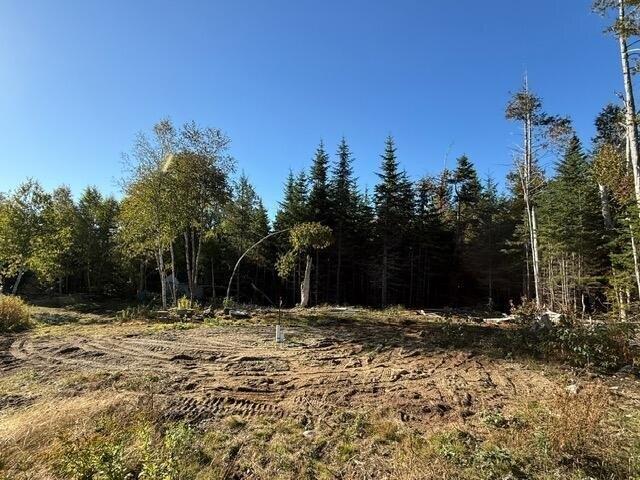 land Lubec ME ES103221913