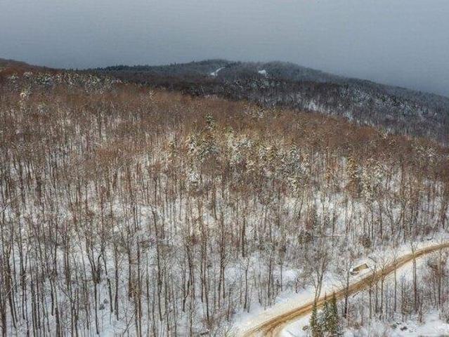 land Ludlow VT DLS102593859