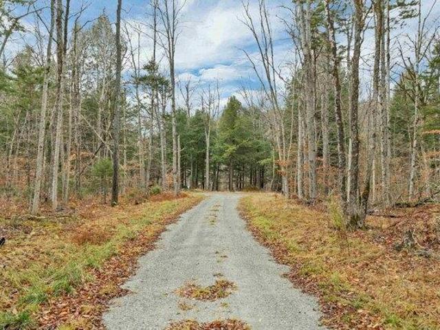 land Ludlow VT DLS102218049