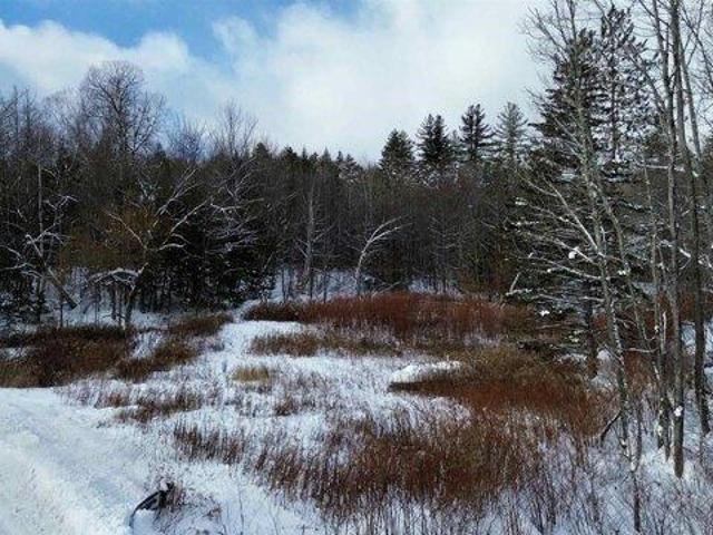 land Ludlow VT DLS102218310