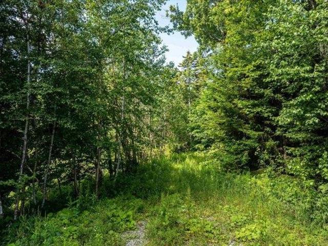 land Ludlow VT DS104151710