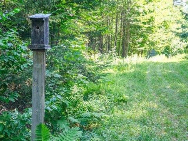 land Ludlow VT DS104410345