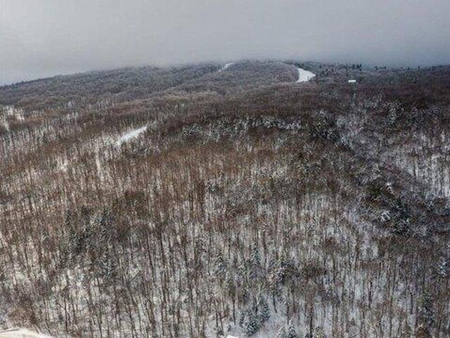 land Ludlow VT ES103159005