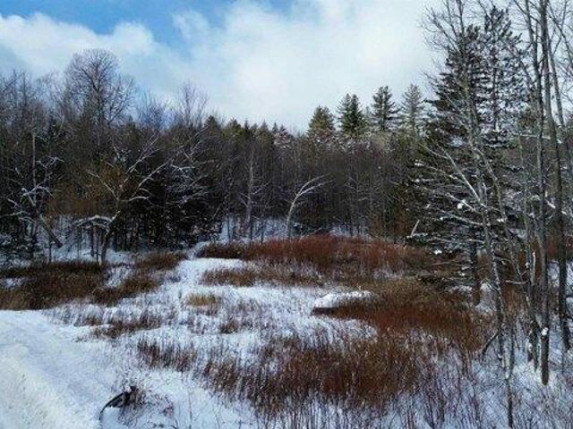 land Ludlow VT ES103161039