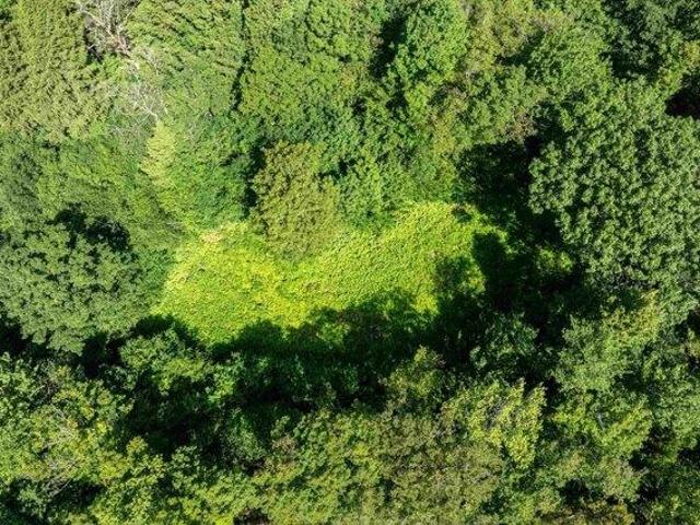 land Ludlow VT ES103432023