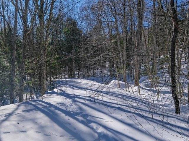 land Ludlow VT ES104042316