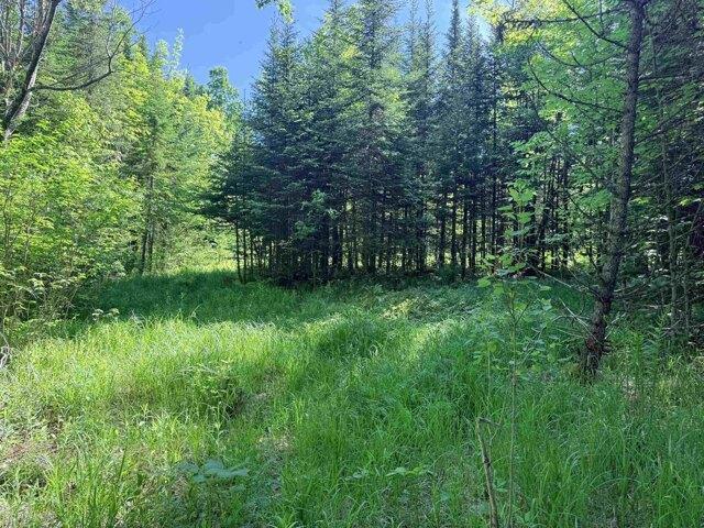 land Lunenburg VT DS103927831