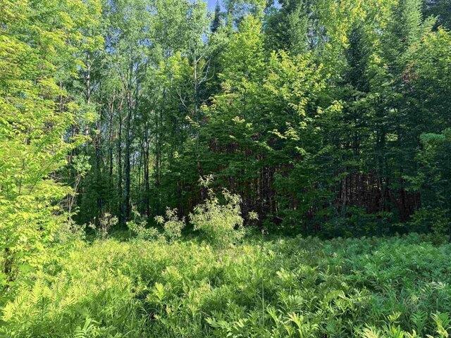 land Lunenburg VT ES104566830