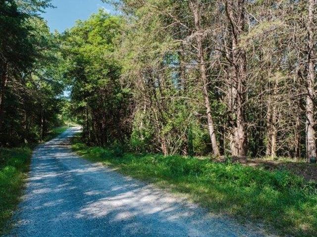 land Luray VA DS103625880
