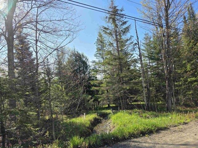 land Lyndon VT ES104758020