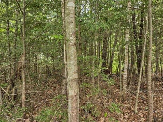 land Laconia NH ES105093580