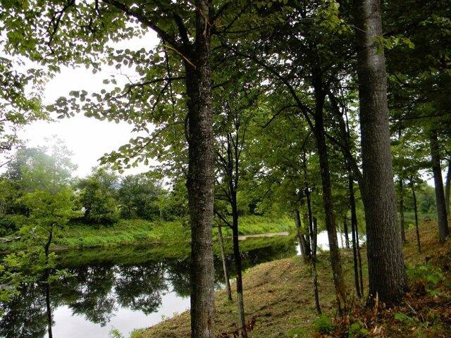 land Lancaster NH ES105094415