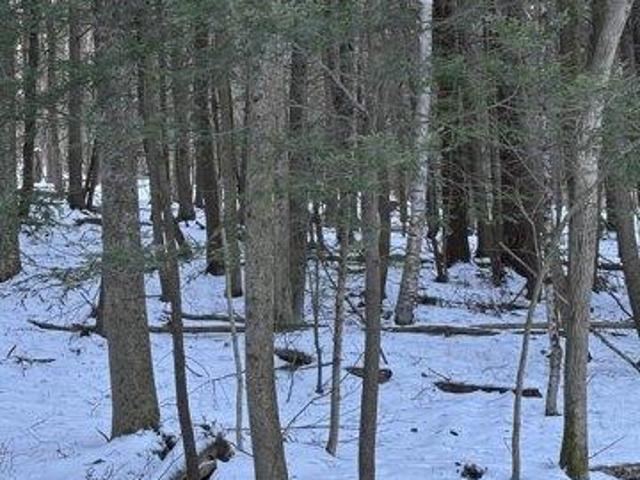 land Lanesborough MA DLS102478800