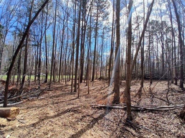 land Laurens SC ES101011946
