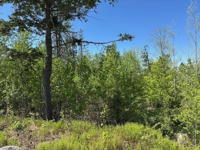 land Lee ME DS101896166