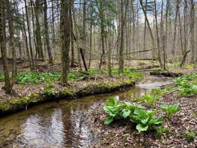 land Leeper PA DS103621793