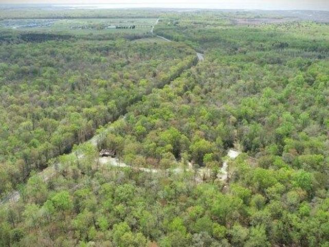 land Leesburg NJ DS102725905