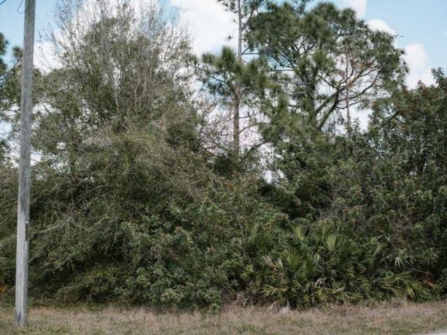 land Lehigh Acres FL DLS101011807