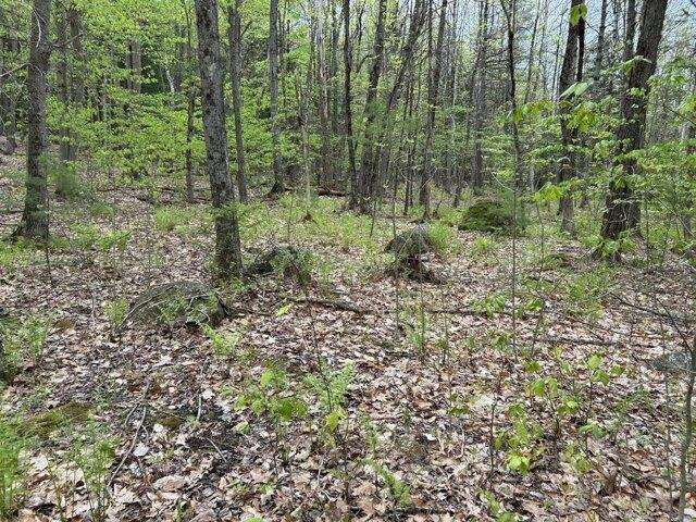 land Lewiston ME DS103888874