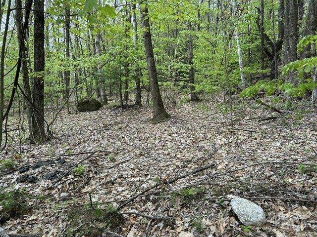 land Lewiston ME ES105122488