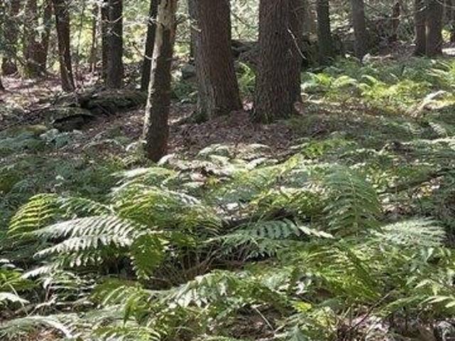 land Leverett MA ES103186852