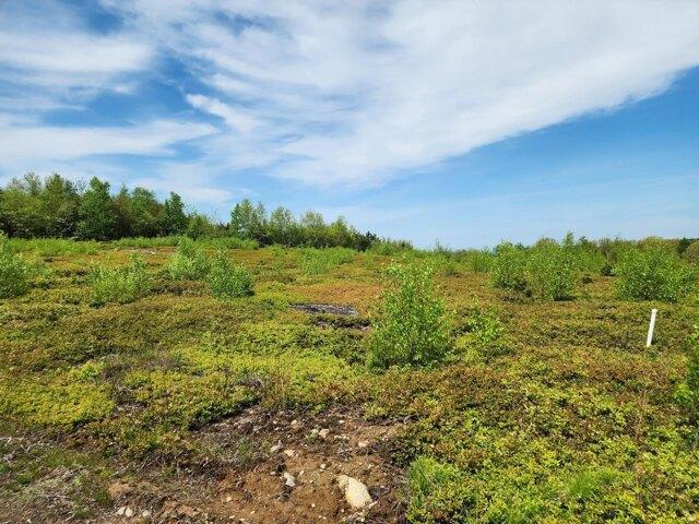 land Liberty ME DLS102725723