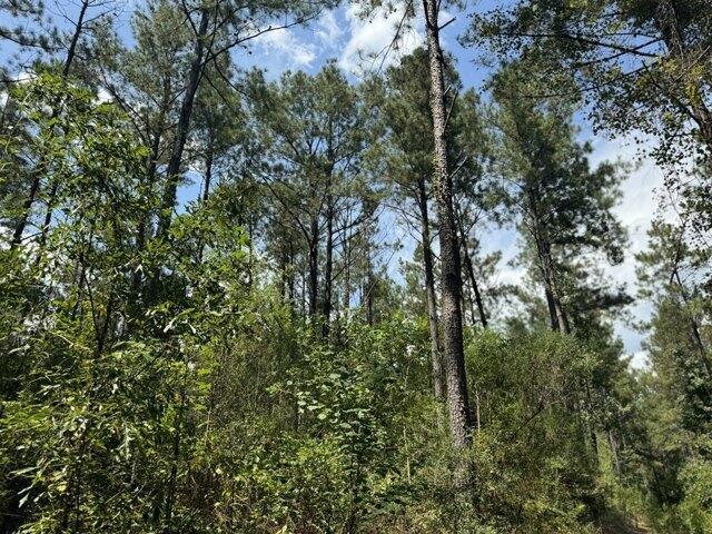 land Liberty MS DLS89578764